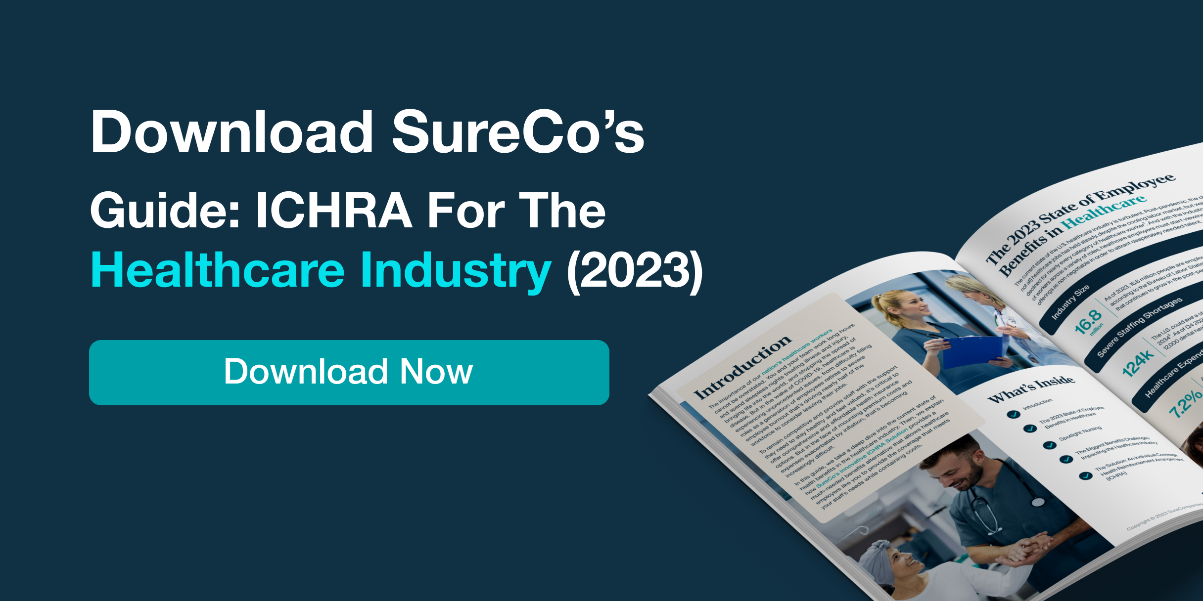 Download Healthcare Industry Guide